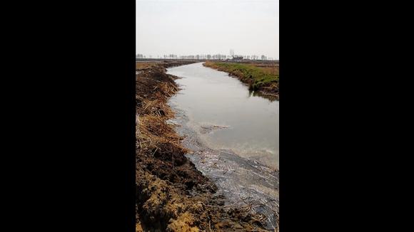 鱼田稻特色种养基地是在大渔池中种植稻田地渔稻共生模式