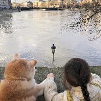 做个废柴继续可爱可爱 