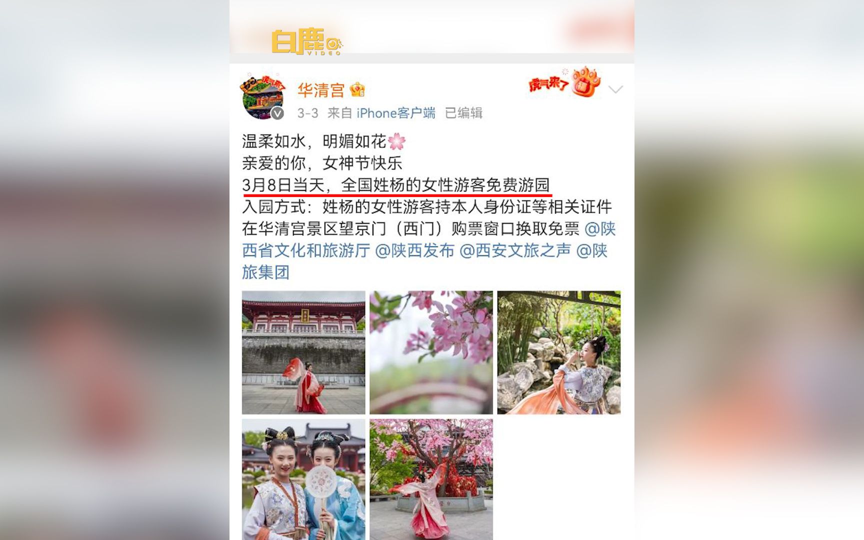 妇女节杨姓女游客可免费游华清宫:持本人身份证在望京门(西门)换取免票