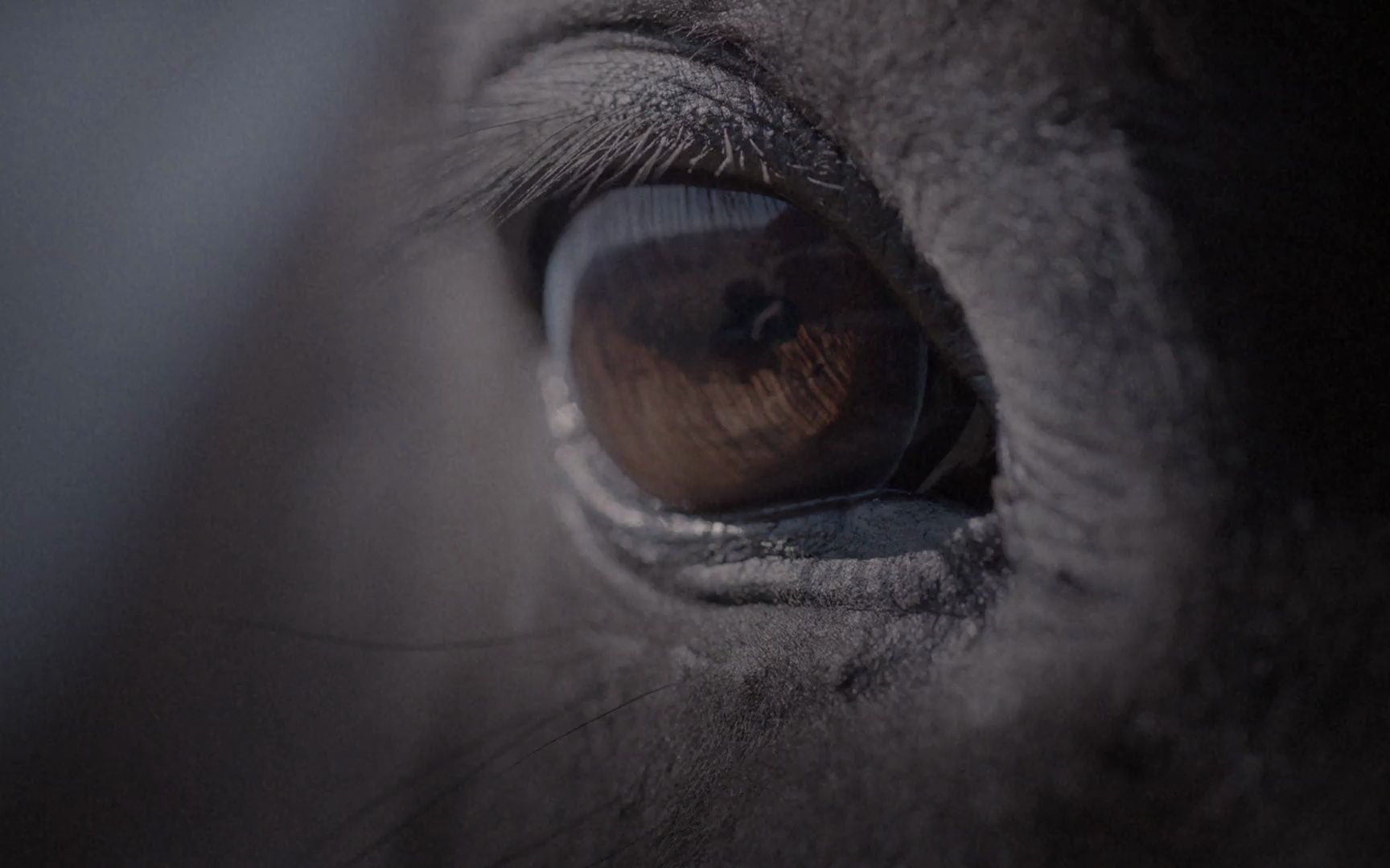 DELL_吴秀波_DIR_VER