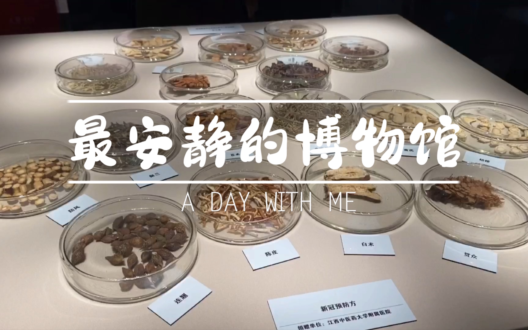 这是我去过最安静的展览馆,和我一起看看疫情背后的感人事迹,江西省...