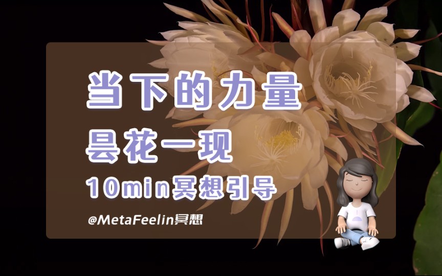 10分钟冥想,感受当下的力量