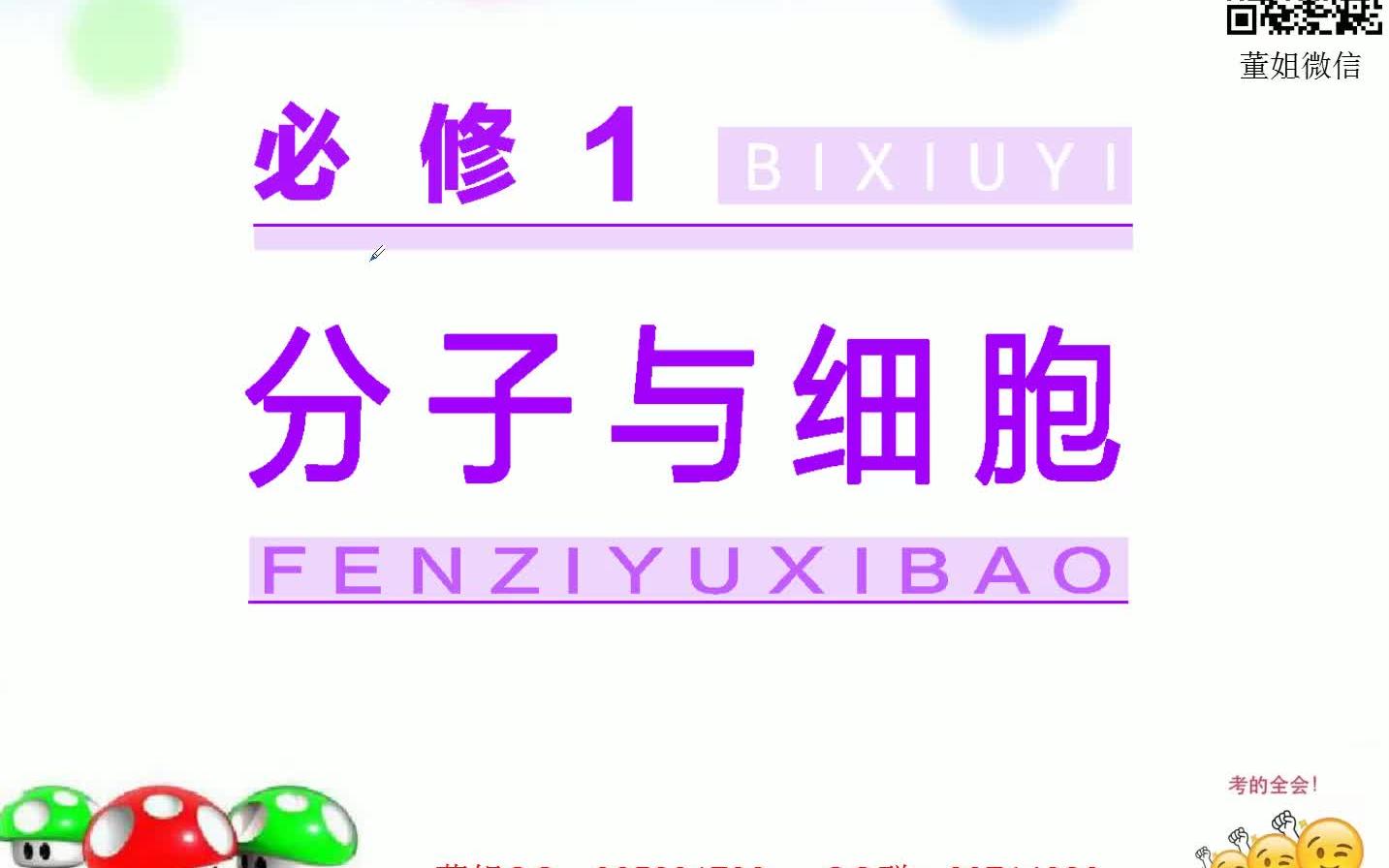 高考生物一轮复习走进细胞