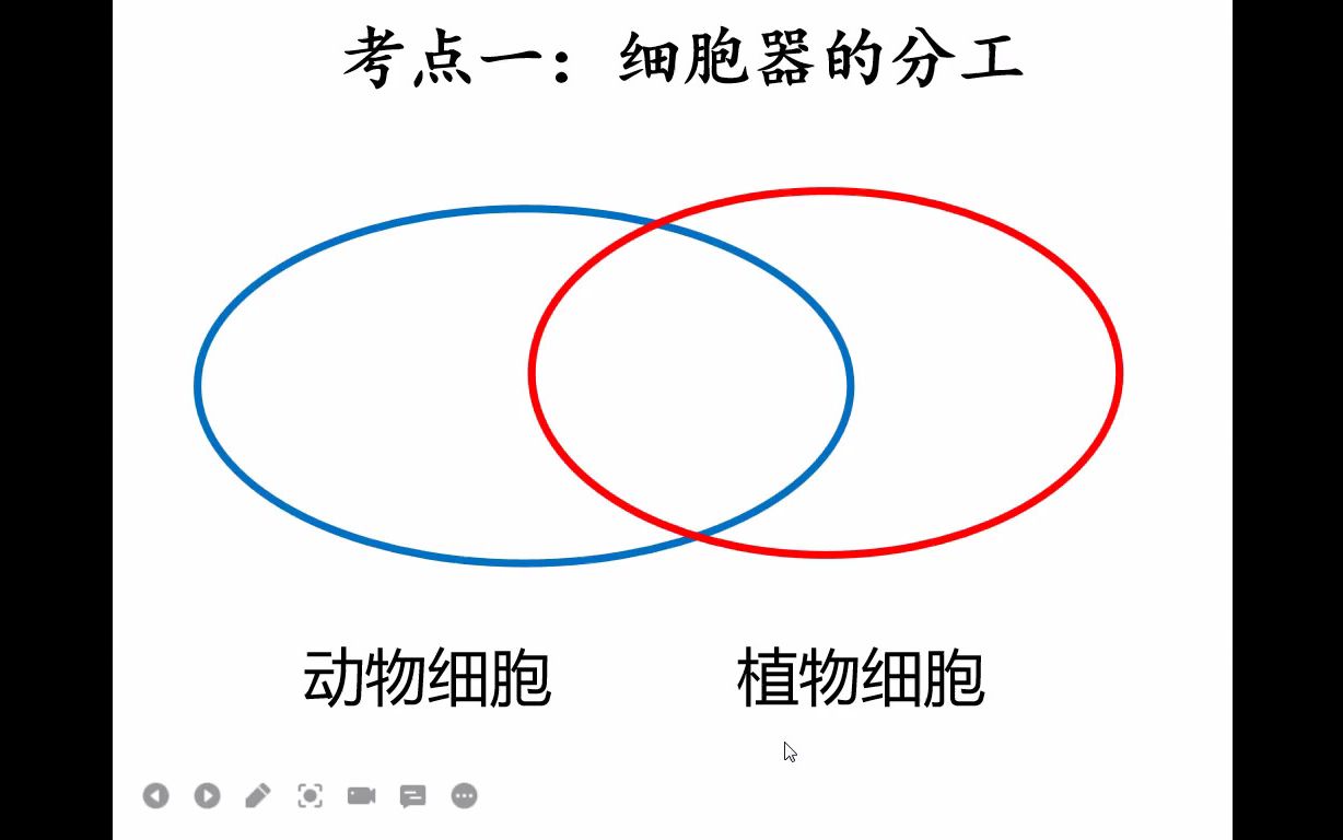 2023生物高考一轮复习-细胞器