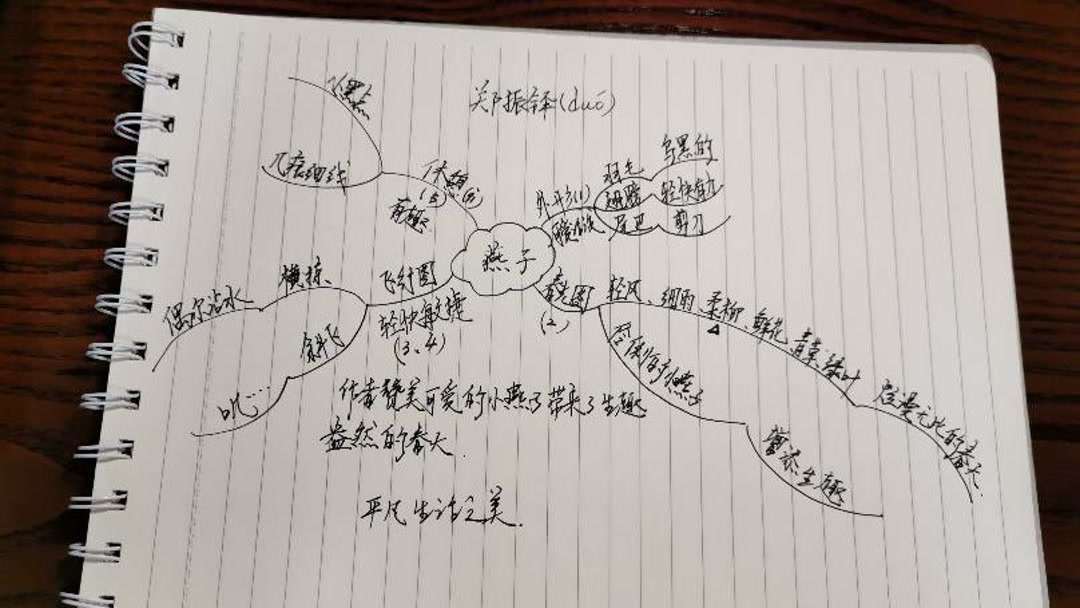 课文燕子思维导图