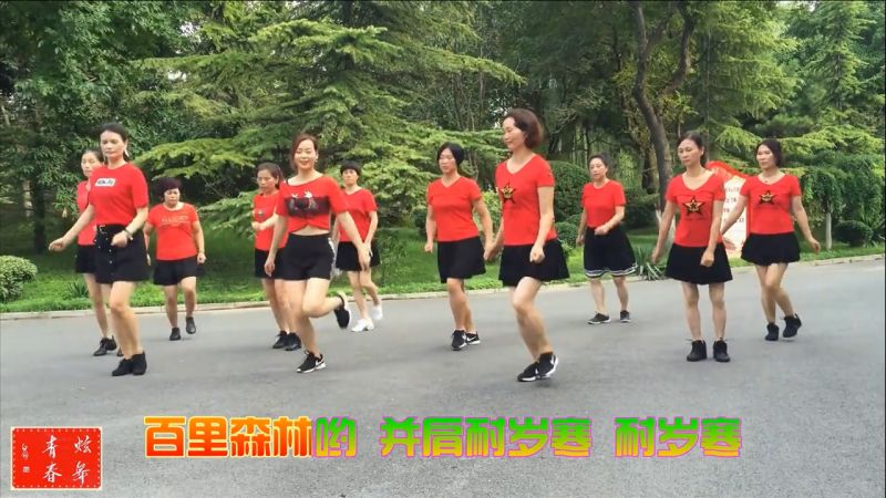 广场舞《众人划桨开大船》