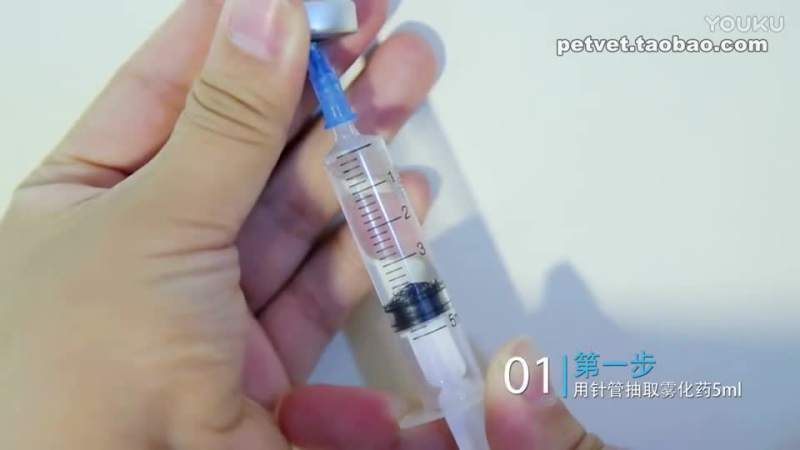 宠物雾化使用(宠物感冒 咳嗽 猫鼻支 窝咳 犬瘟 肺炎 气管炎)