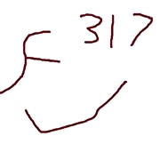 白色蜂鸟 