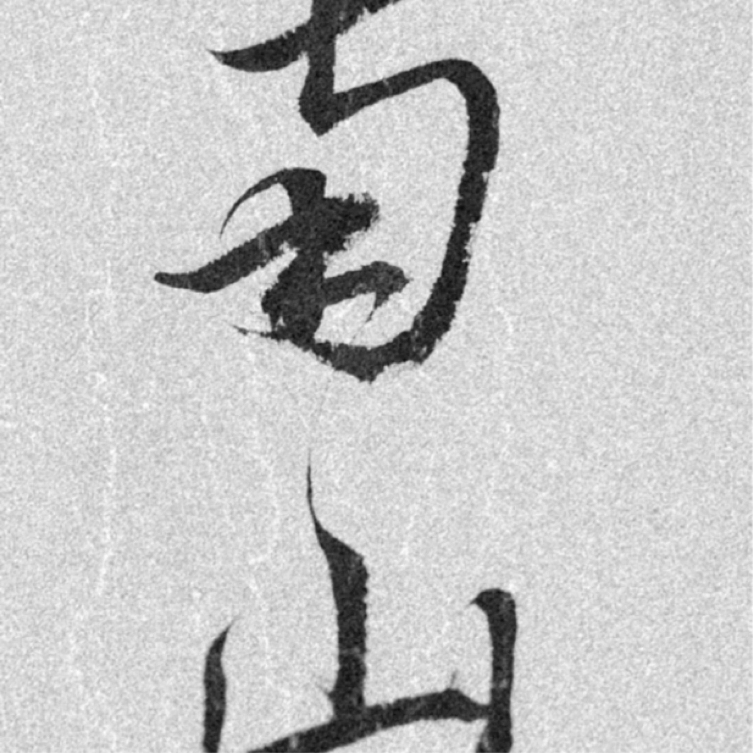 菩提落南山 