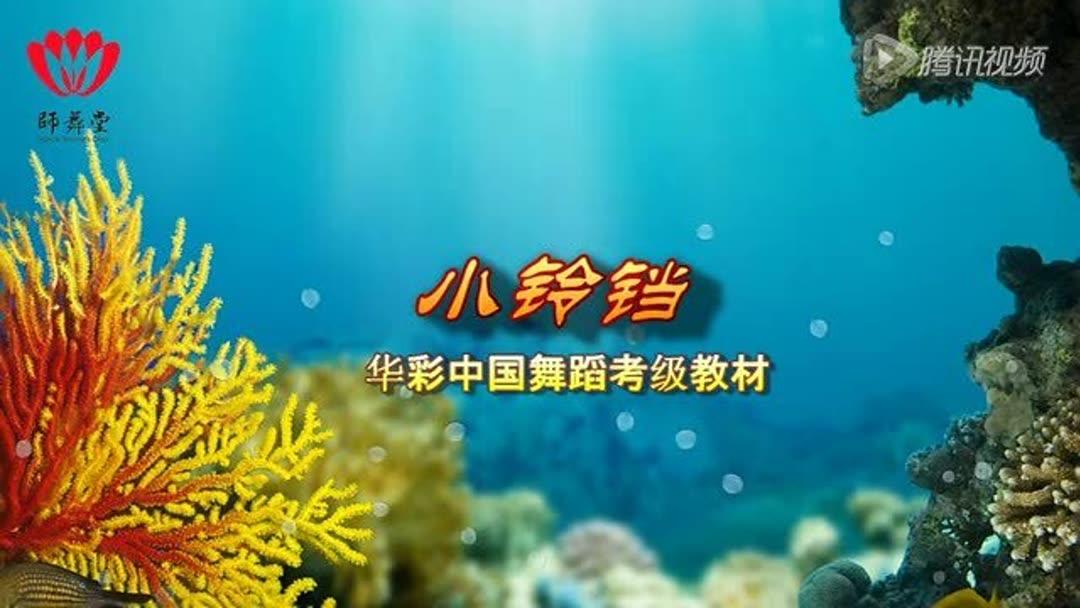 华彩中国舞蹈考级教程