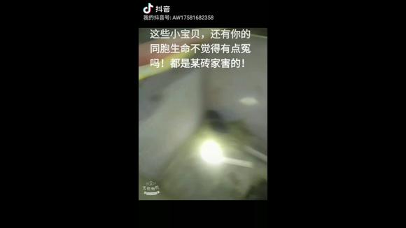 衡阳县,交通局,欧派新日电动车