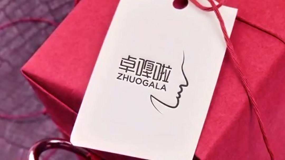 豪横的一个logo设计过程#logo100天