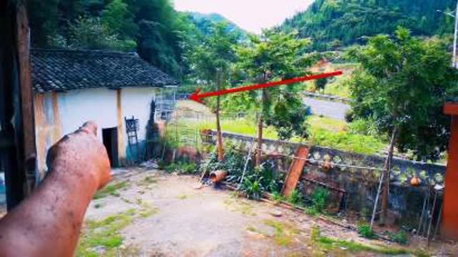 大爷这种地方养的鸡鸭都被偷了 装个这样摄像头 抓小偷有没有用?