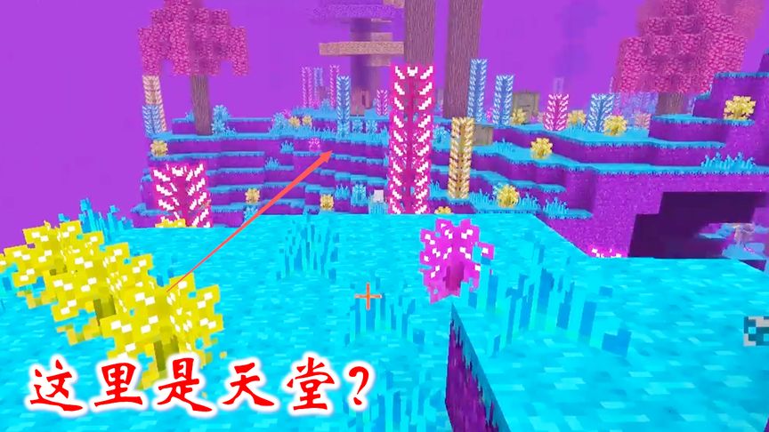 我的世界虚无世界37:迪哥去了天堂,看到五彩斑斓的花海世界