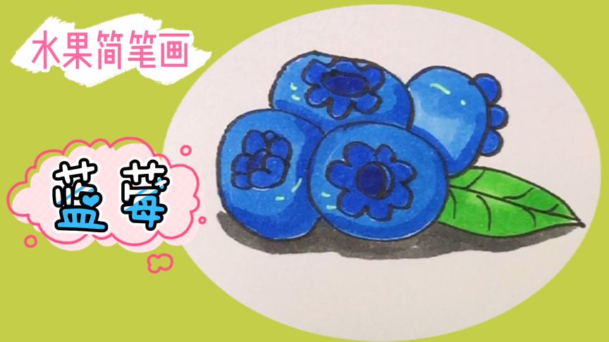 水果简笔画基础教程,好吃的蓝莓,一起来画一下