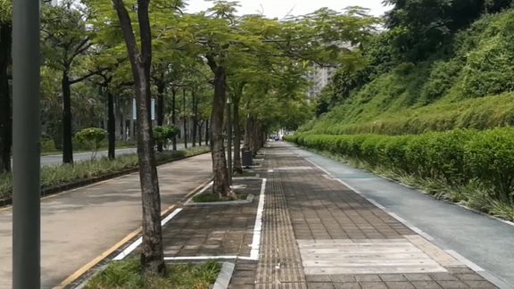 全国唯一建在公园里的婚姻登记处