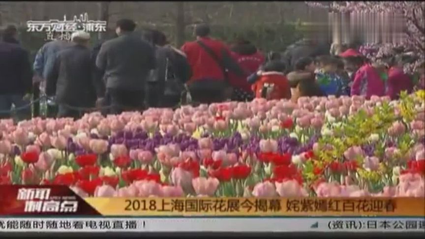 2018上海国际花展揭幕 姹紫嫣红百花迎春