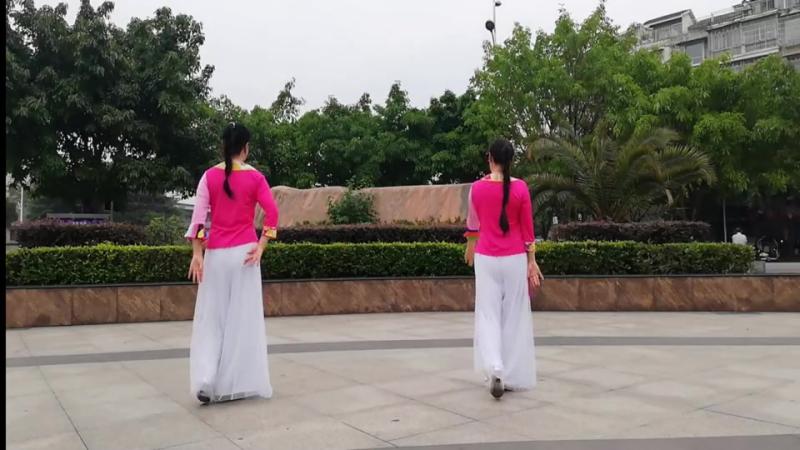 阳春三月乐逍遥广场舞《红枣树》背面动作分解教学_
