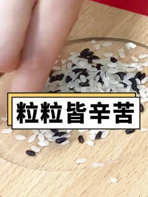 粒粒皆辛苦,锻炼孩子手部精细动作 感统游戏