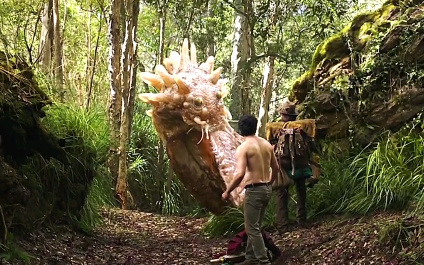 核战争全面爆发,小型动物全部巨大化;