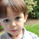 牛油果动画大乐园 