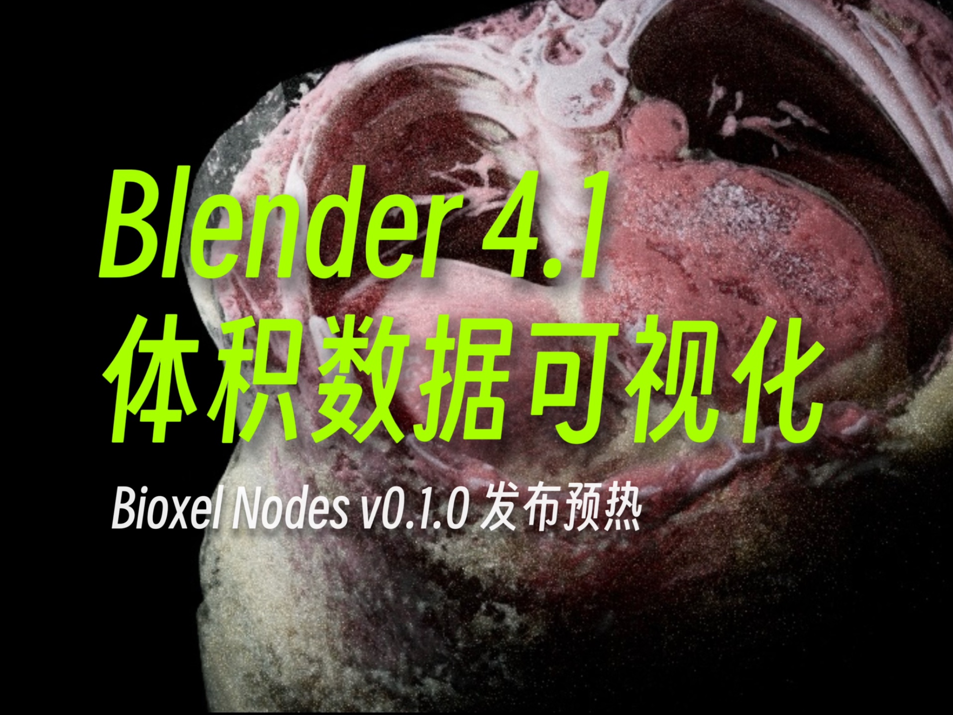 Blender 插件 Bioxel Nodes 预热