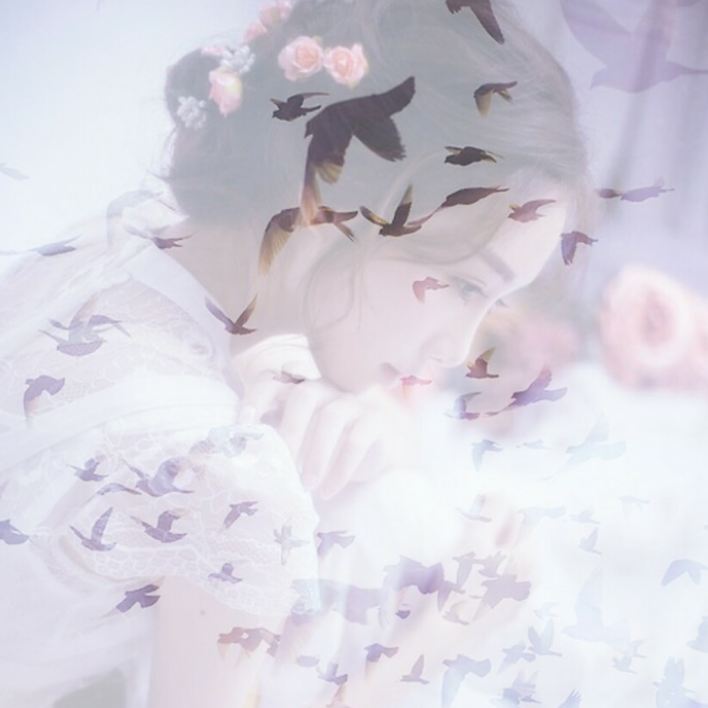 狐狸宝宝75711 
