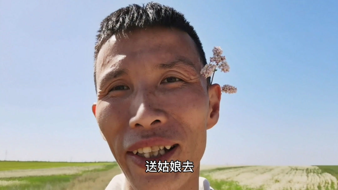 荞麦是什么?去田里一探究竟,戴一朵荞麦花寻姑娘去,我美不美?