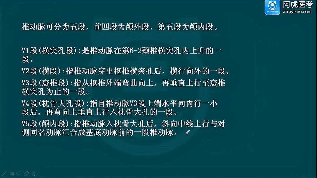 2022阿虎医考超声医学技术副高正高考点精讲课头颈和四肢颈部血管