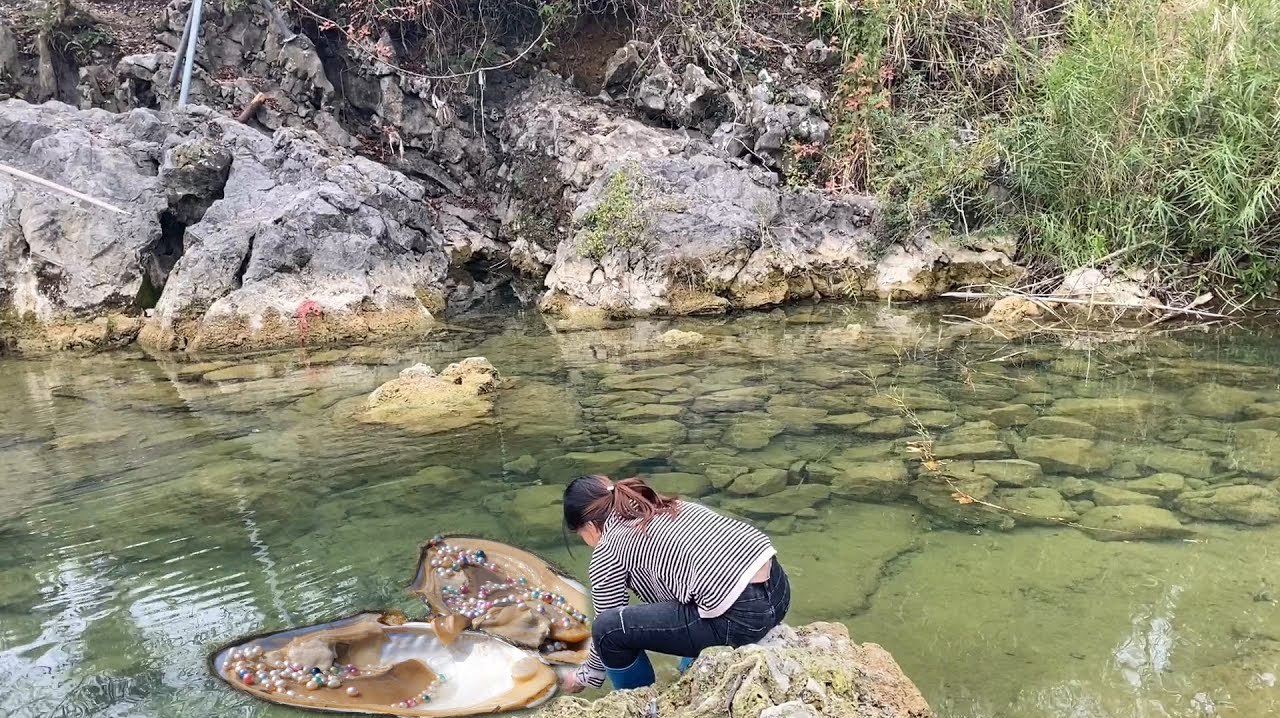 美女河边发现巨型珍珠蚌,比人的头还要大,结果竟开出罕见珍珠!