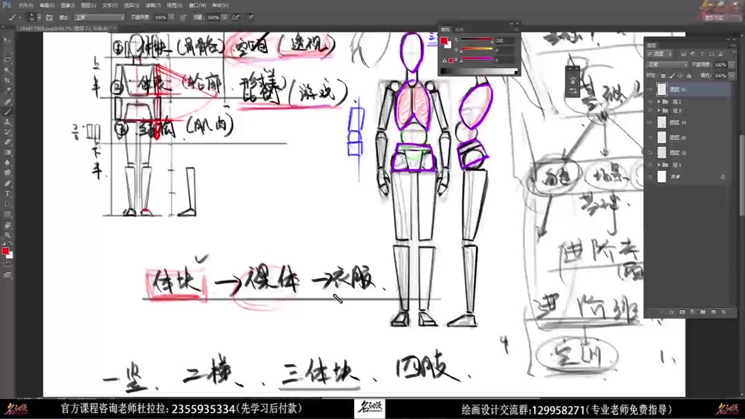 【PS绘画教程】人体骨骼画法教学丨原画基础教程丨素描基础教程丨...