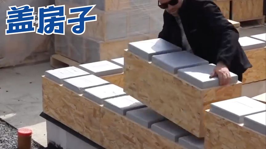 老外盖房当作游戏,“玩了”一天钱就到手了,这想法不错值得借鉴