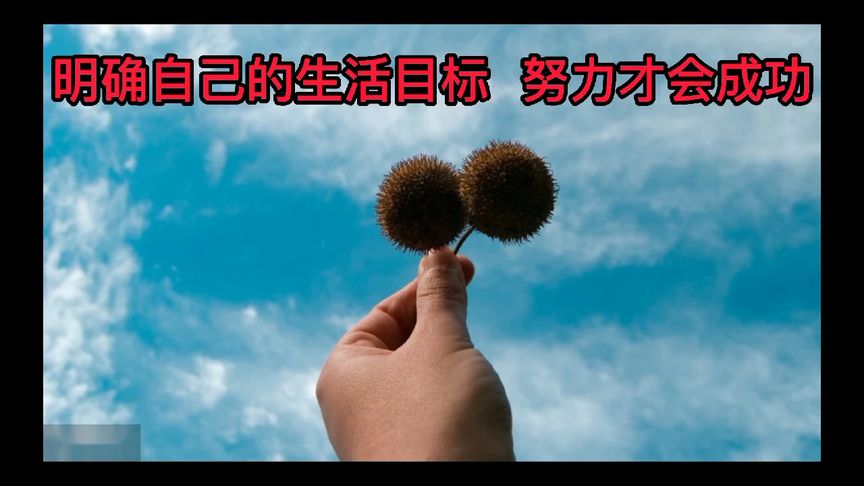 明确自已的生活目标,努力才会成功