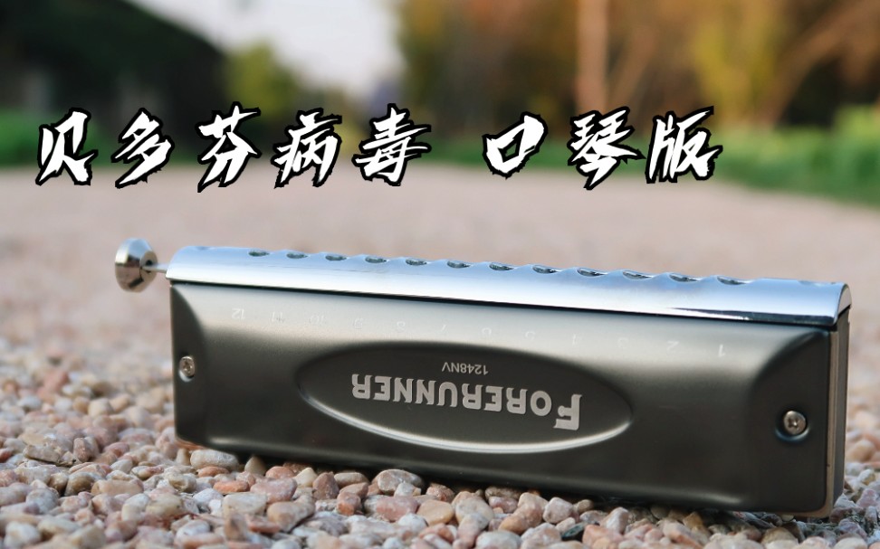 【口琴】贝多芬病毒 用最便宜的半音阶强行吹奏