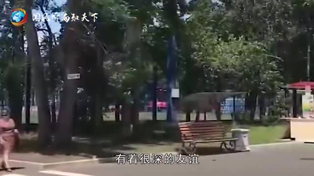 俄罗斯的这座城市,生活近20万华人,但别欺负中国人