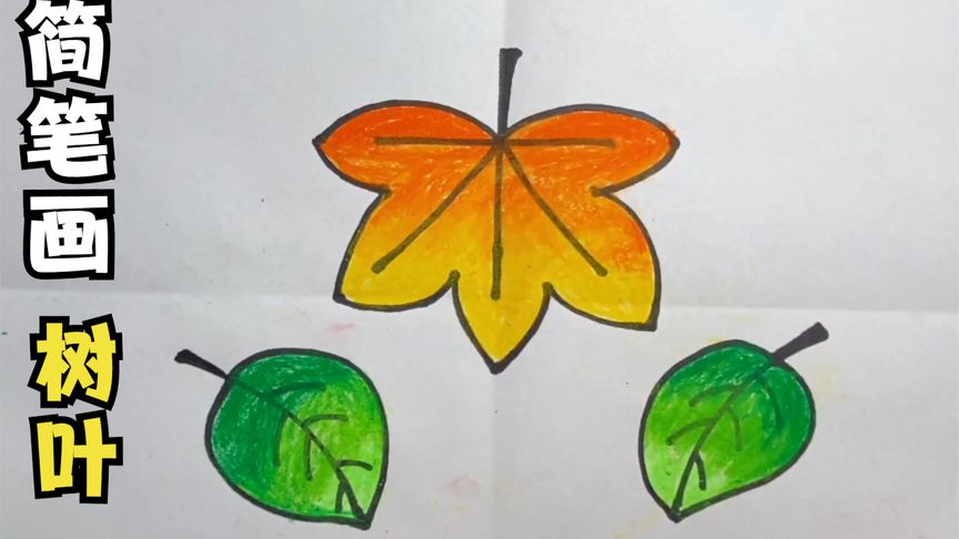 少儿绘画#基础简笔画树叶