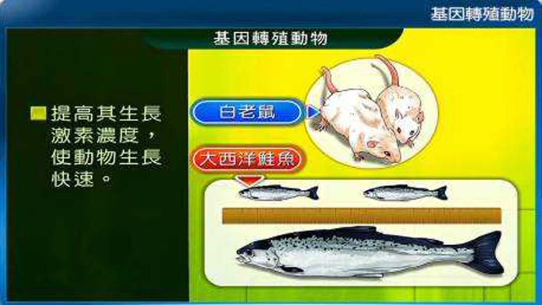 基因转殖动物、植物、微生物、技术的应用