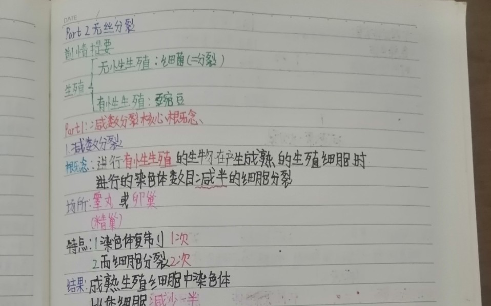 生物笔记减数分裂