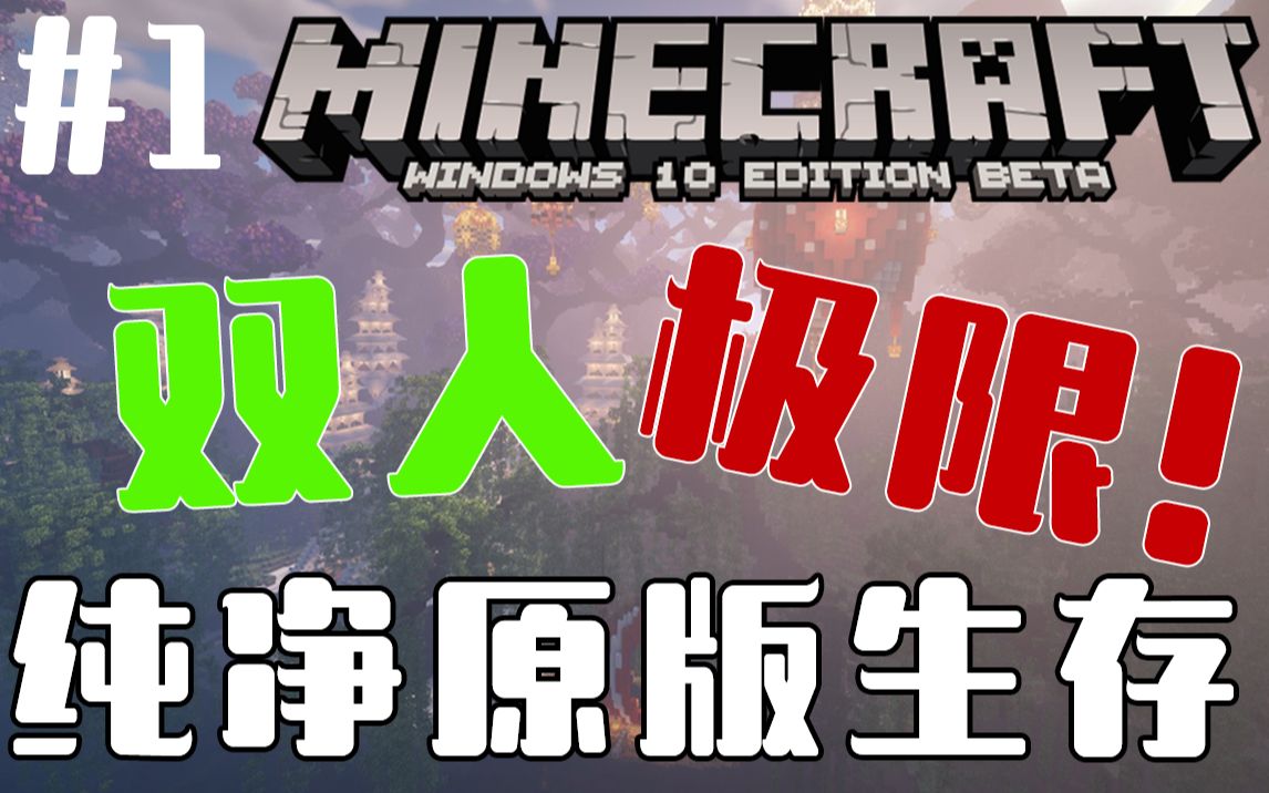 我的世界-从零开始的极限生存