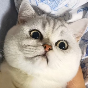不加辣nia 