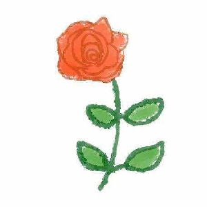 Charlie周深情报总局 