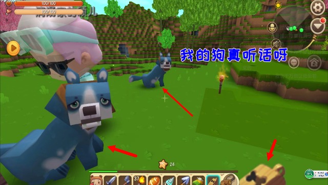 迷你世界故事:训练保镖狗狗,只需要这一招就够啦!