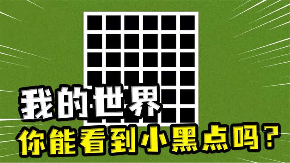 我的世界:玩家体验视觉错误地图
