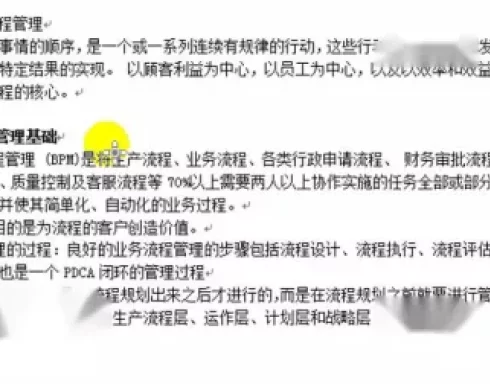 24、组织级项目管理、业务流程管理