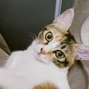 ߐ�都不干设计 