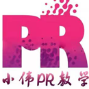 小伟PR教学 
