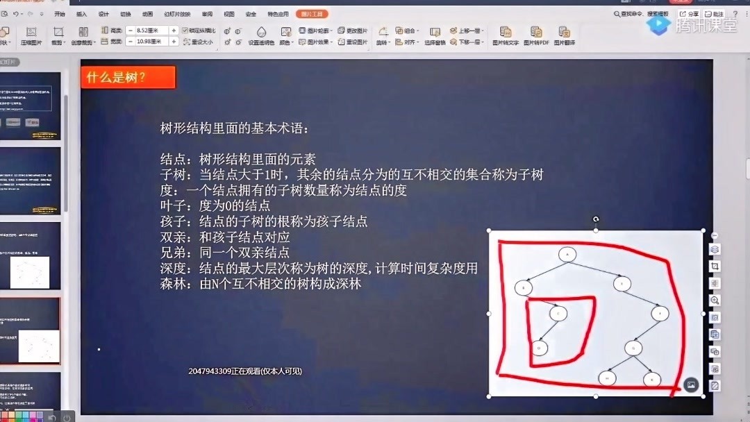 2.1树-树形数据结构分析