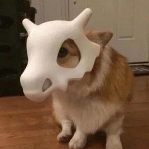 德赛夫 
