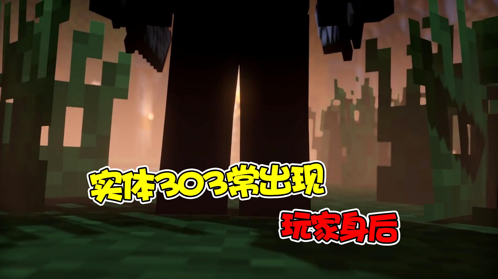 我的世界:游戏中真的存在实体303吗?这座空岛已经说明一切!