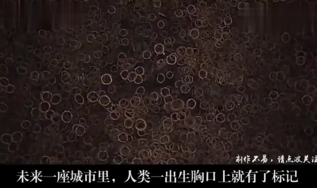 未来人类伴随着数字出生,数值越大越好,为零的都没资格交朋友